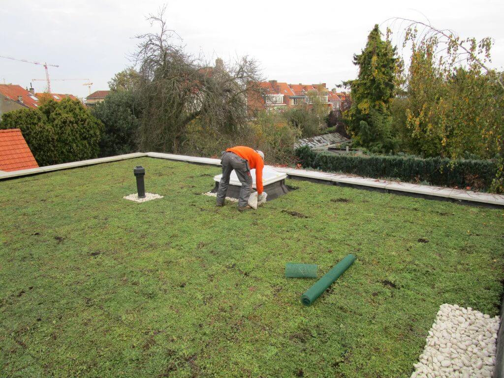 Une toiture verte, pour vous et pour l'environnement